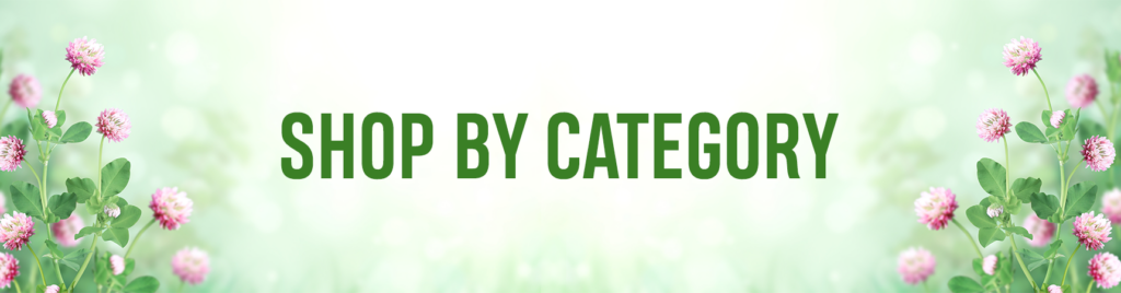 D-Sora Soap Archives - Revinto